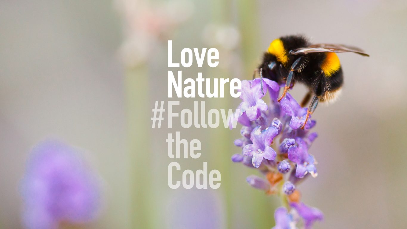 Environmental Identity Rebrand DESIGN PROJECT Nature Countryside